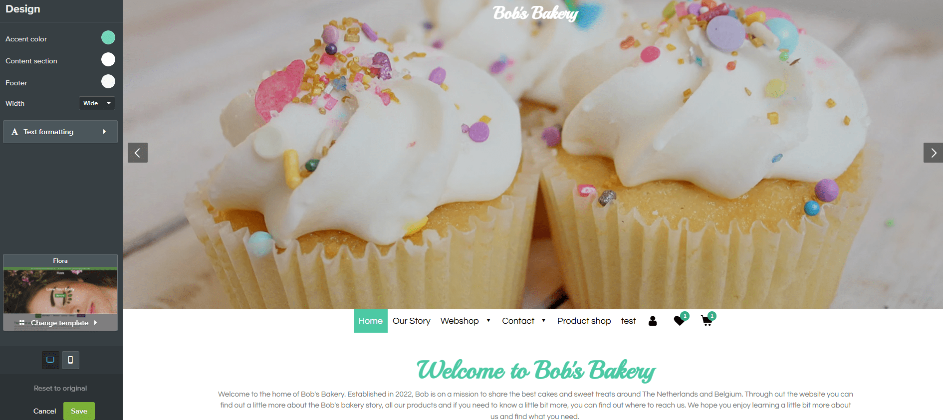 Web design Tips for Beginners